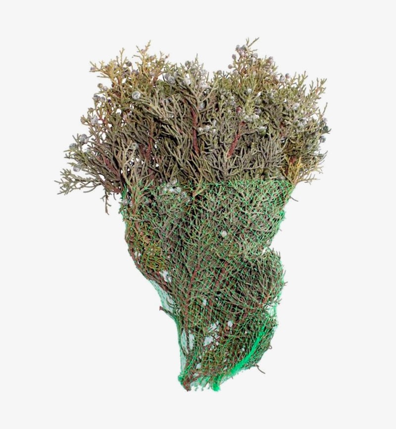 Buy Bulk Berried Juniper Boughs for Christmas Decor and Display